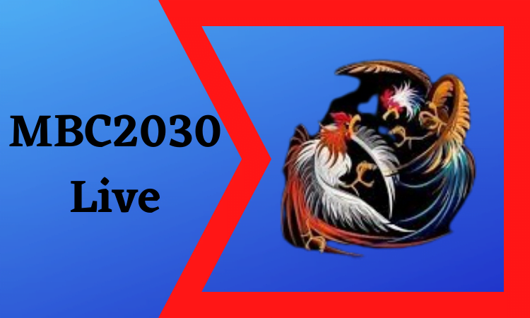 24 Most Popular Google Doodle Games You Should Play