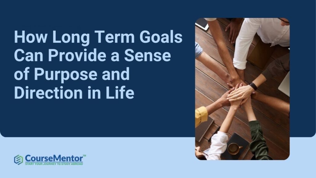 Discuss How Long Term Goals Can Provide a Sense of Purpose and ...